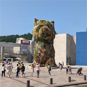 The Great MND Relay - Cecily Ward